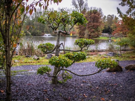 Het Amstelpark, 50 jaar na de Floriade een monument - Groen Erfgoed